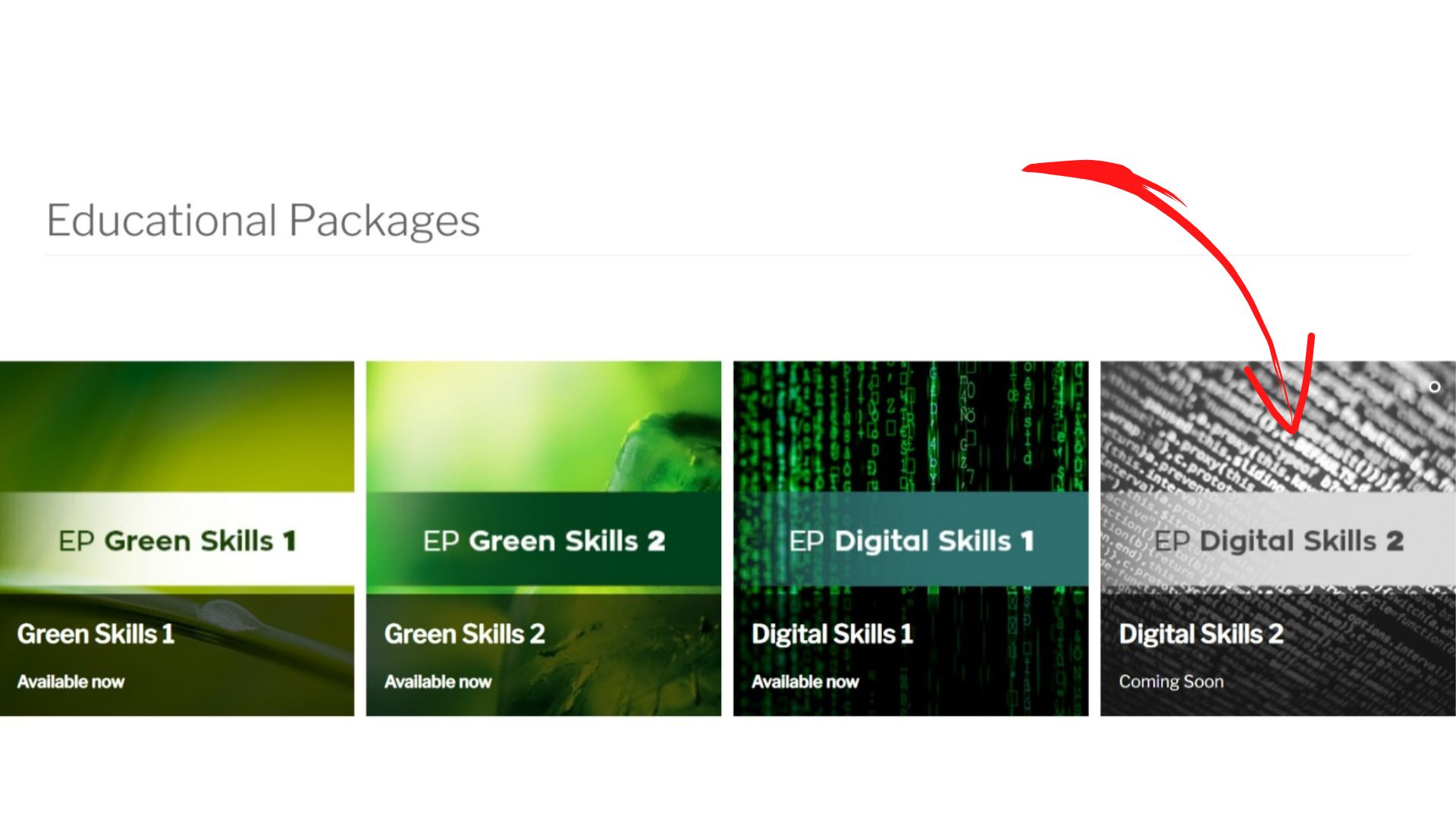 Educational Package Digital Skills 2 is published - SkillSea